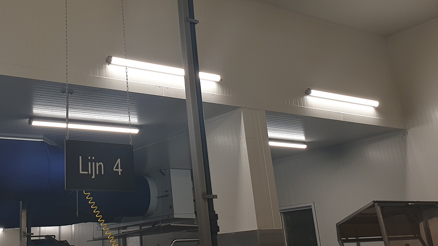 Waterproof Lights - Portfolio Delta IT